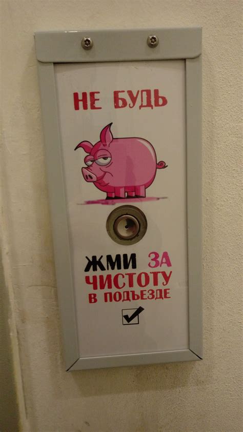 За чистоту в подъезде | Пикабу