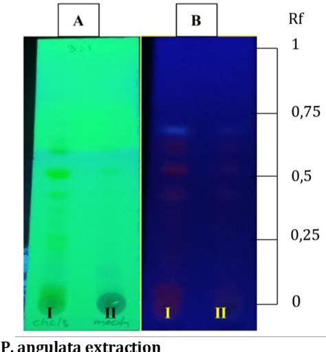 Figure 2 From Bioassay Guided Semantic Scholar