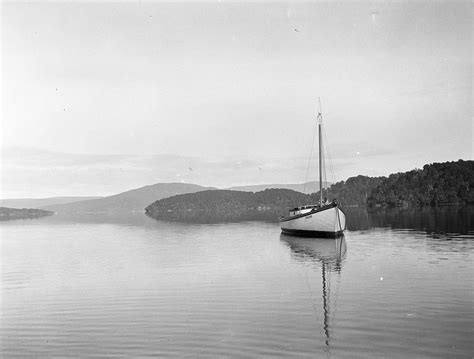 The Kakahi Free Photo Rawpixel