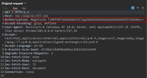 Arachni V 161 061 Windows X8664 Sends Authorization Header