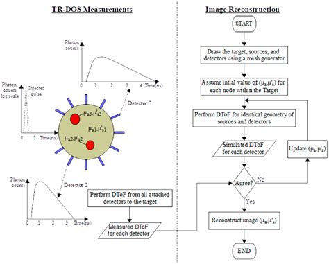 Sensors Free Full Text Time Resolved Diffuse Optical Spectroscopy And Imaging Using Solid