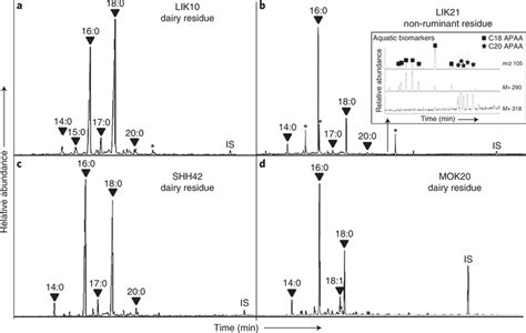 Partial Gas Chromatograms From Four Extracted Lipid Residues With