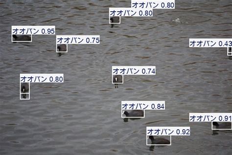 Label Studio で YOLO ML backend を使用して物体検出のデータセットを作成 LeafWindow
