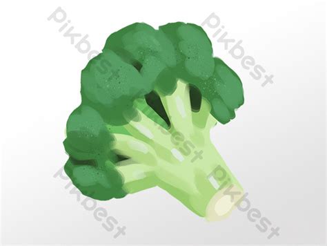 손으로 그린 녹색 브로콜리 그림 일러스트 Png Psd 무료 다운로드 Pikbest
