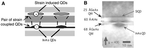 Exciton Storage In Semiconductor Self Assembled Quantum Dots Science