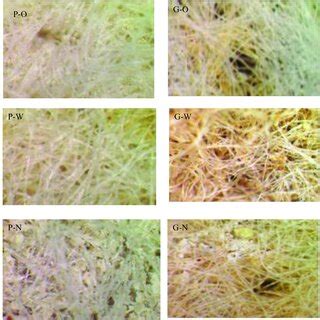 Hydraulic Conductivity Of The GCL Samples After Hydration Download Scientific Diagram