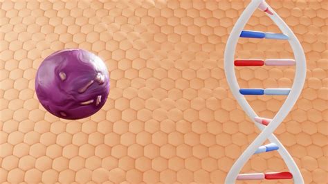 What Is Braf In Melanoma