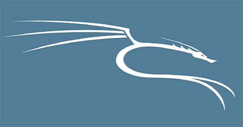 Kali Linux Vs Parrot OS Which Is Best For Your Penetration Testing