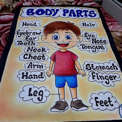 Body Parts Classroom Chart Classroom Charts Chart School Projects