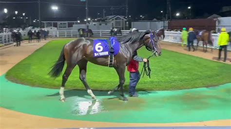 「第47回栄冠賞」パドック 門別競馬 Youtube