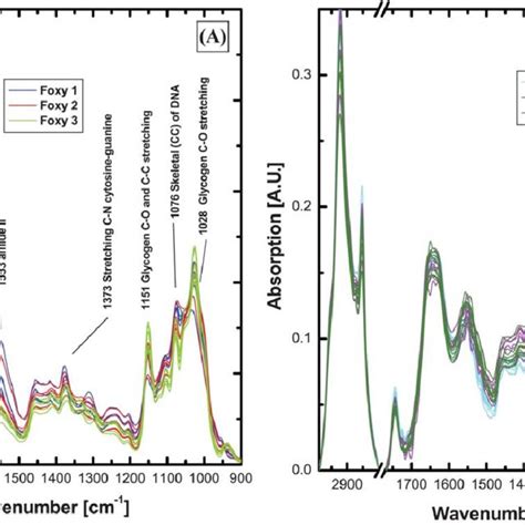 A And B Infrared Absorption Spectra Of The Six Strains Of F