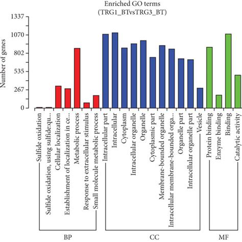Functional Enrichment Analysis Of Differentially Expressed Mirna Target