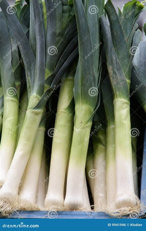 Leek Stock Photo Image Of Vegetable Life Nature Vegetables
