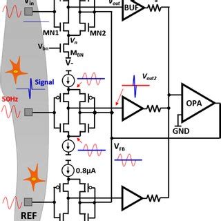 Invivo Experiment Results On The Cortex Of A Lab Mouse Download Scientific Diagram