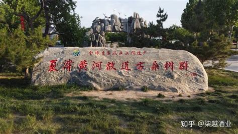 柒悦梦想系列椹果酒 循梦而行，向阳而生 知乎