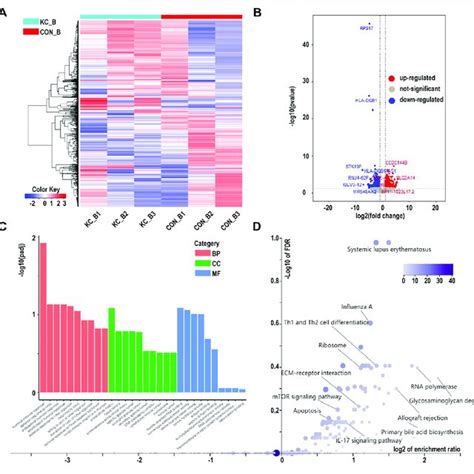 Hierarchical Cluster Analysis Of Differentially Expressed Genes In