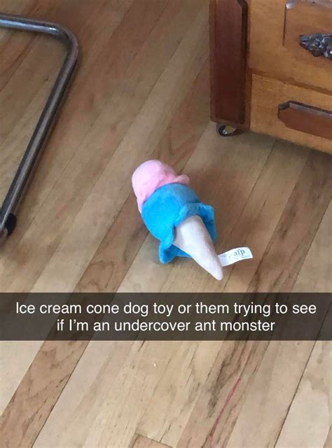 My Girlfriend Started Play Edf 5 With Me On Pc And She Sent Me This