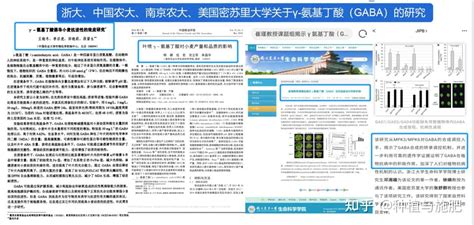 汉和重磅亩增产200斤γ 氨基丁酸GABA凭什么 知乎