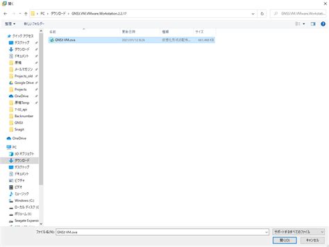 Setting Up The GNS VM Server How To Use GNS N Study