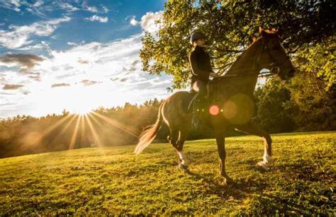 Pasqua A Cavallo L Idea Che Fa Anche Bene Sia Al Corpo Che Alla Mente