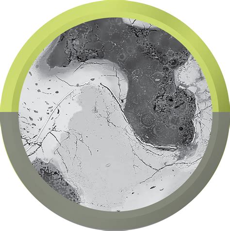 Optimal Dual Stage Resorption Of Trelcor Granules Biogennix