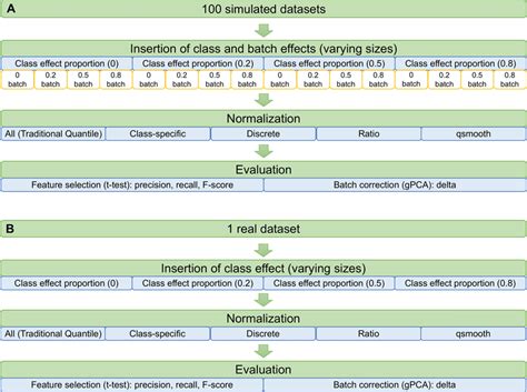 Simulation Strategies For Data With Simulated Class And Batch Effects