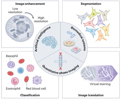 Artificial Intelligence Enabled Quantitative Phase Imaging Methods For Life Sciences Nature