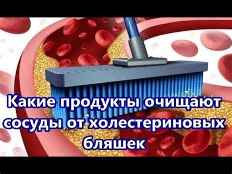 Какие продукты очищают сосуды от холестериновых бляшек - YouTube
