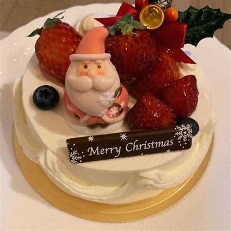 横田ひかる メリークリスマス！ Xmas Moe Zine