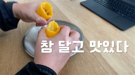 달고 맛있는 채소 소개하기 Youtube