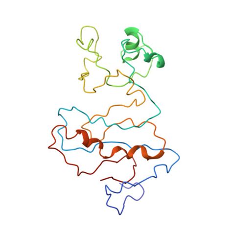 Rcsb Pdb 8g60 Mrna Decoding In Human Is Kinetically And Structurally