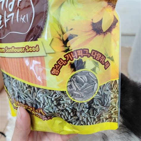 골든햄스터 사료 베딩 톱밥 이갈이간식 목욕모래 네이버 블로그