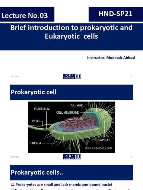 Lecture No 02 Biochem Pdf Prokaryote Cell Biology