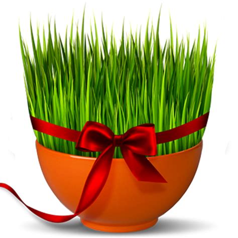 Sabzeh Eid Norouz Madarbanoo Download Install Android Apps Cafe