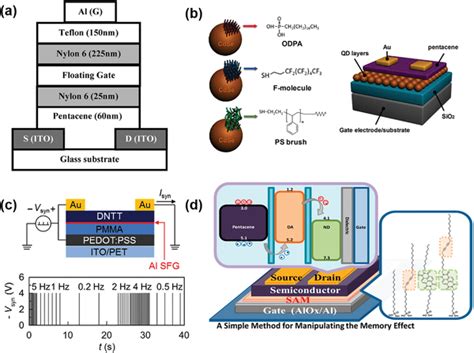 A Diagram Representing An Ofet Memory With An Ag Or Caf2 Nanoparticle