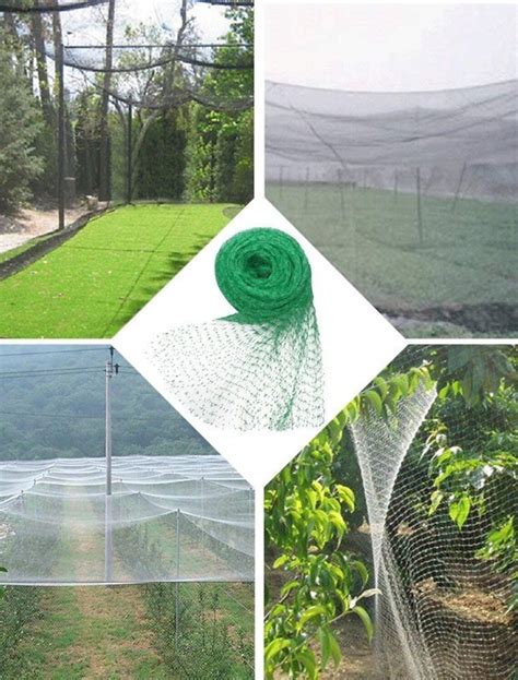 Green Anti Bird Protection Net Mesh 2 5m Garden Plant Netting Fruits Fencing Mesh Protect