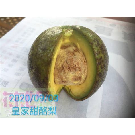 花花世界水果苗 皇家一號甜酪梨 果肉質地乳酪狀4吋盆高30 40公分 蝦皮購物