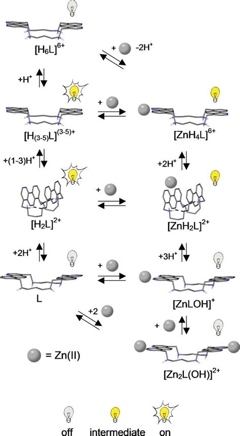 Schematic Representation Of The Modifications To The Structural And Download Scientific Diagram
