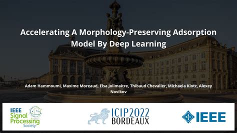 Accelerating A Morphology Preserving Adsorption Model By Deep Learning