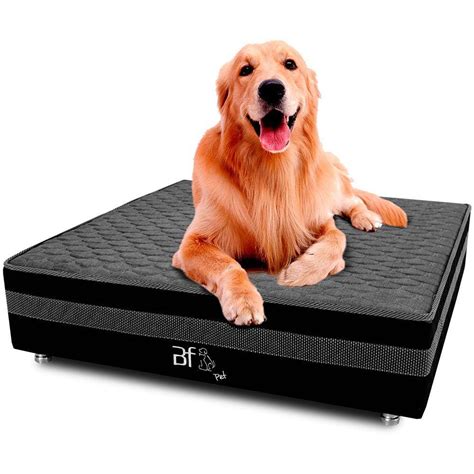Cama Imperme Pet Pontofrio