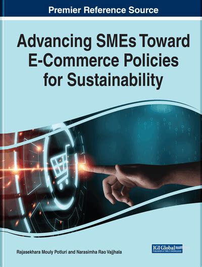 Advancing Smes Toward E Commerce Policies For Sustainability