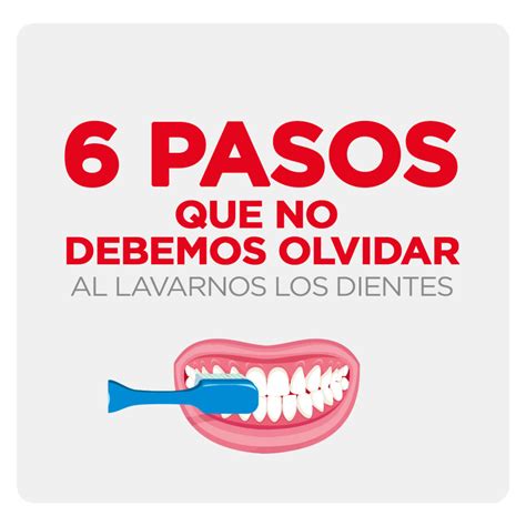 Cómo Lavarse Los Dientes Phb