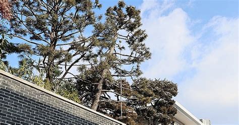 법원 이순자→전두환 연희동 자택 명의변경 소송 각하