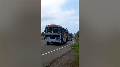 🚌ගාලු පුළුවරේ දෙන්නා යන ලස්සන බස් 🚌 ටුවර් බස් Srilanka