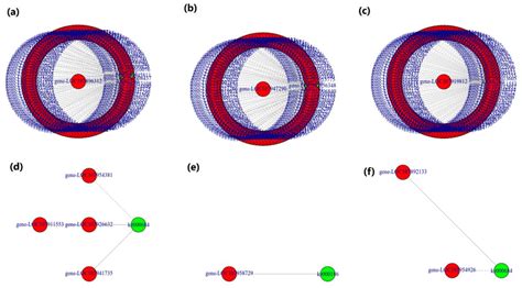 Heat Maps Of Correlation Coefficient Matrices Between Dams And Degs