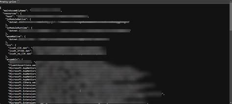 Black Box Penetration Testing For Blazor Webassembly Server Apps