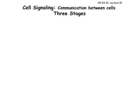 Pdf Cell Signaling Three Stages Dokumen Tips