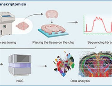 an introduction to rna seq methods applications experimental design