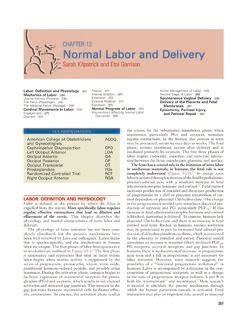 Chapter Normal Labor And Delivery Chapter Normal Labor And Delivery Pdf PDF PRO