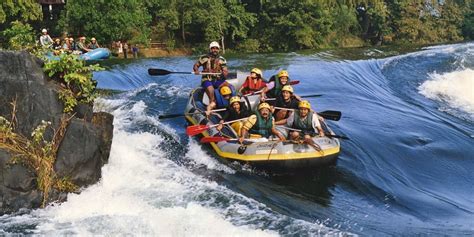 Top 12 Best Things To Do In Goa 2024 With Photos